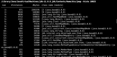 Jvm 性能监控工具之命令行篇 二哥的java进阶之路 Jvm 性能监控工具之命令行篇 二哥的java进阶之路