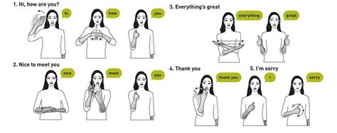 Github Er Ai Gk Oneapi Sign Language Gesture Translator Sign Language Recognition
