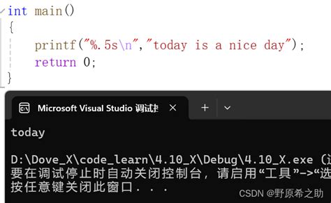 Printf()函数的概念和占位符的用法printf占位符 Csdn博客 Printf()函数的概念和占位符的用法printf占位符 Csdn博客