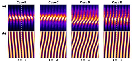 Interference Patterns From Spiral Phase Fronts A Observed And B Download Scientific Diagram