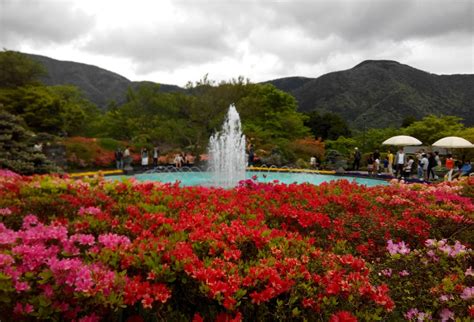 2025箱根强罗公园游玩攻略 返回小田原，去强罗公园看看 【去哪儿攻略】