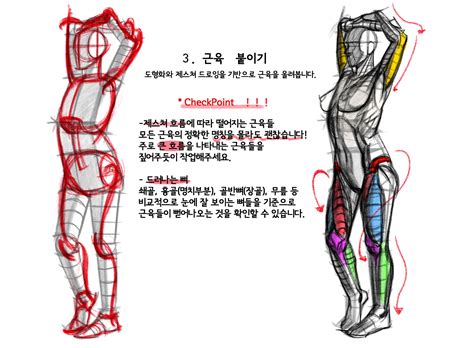 쏴 Sswa On Twitter 만들고 나니 넘 빠르게 지나가는 것 같아서 인체 기초수업 복습자료도 첨부합니다😂 크로키를 할 때 연습 목적에 맞게 목표를 세운 뒤