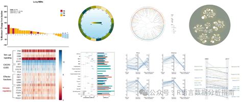 Ggplot2进阶绘制环状热图新风尚 腾讯云开发者社区 腾讯云