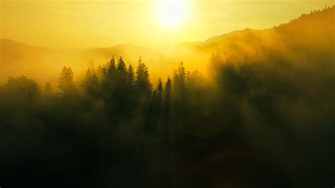 Project O‘cin Wildshot Productions