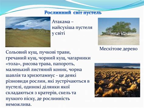 Південна Америка Рослинний і тваринний світ Південної Америки презентация онлайн