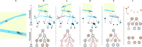 Joint Synapse Detection And Segmentation By Iterative Tree Searching