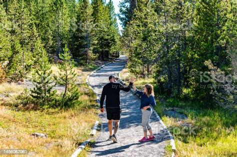 아버지와 딸은 경치 좋은 지역의 산책로에서 자연 속에서 하이킹을 하는 하이 파이브 10 11세에 대한 스톡 사진 및 기타 이미지 10 11세 2명 35 39세