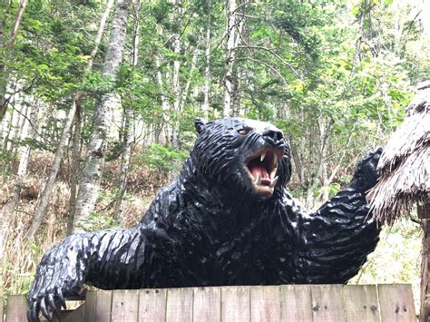 写真・図版（1枚目） 国内史上最悪の「三毛別ヒグマ事件」は“人災”だった 無防備で生息域に送り込まれた入植者の悲劇 Aera