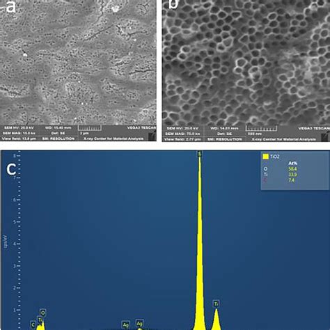 Sem Top View Of Tio2 Nts After 15 Min A And 120 Min B Of Download Scientific Diagram