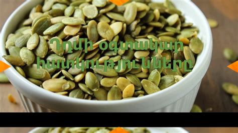 Դդմի սերմերի օգտակար հատկությունները Ddmi Sermeri Ogtakar Hatkutyunner Youtube