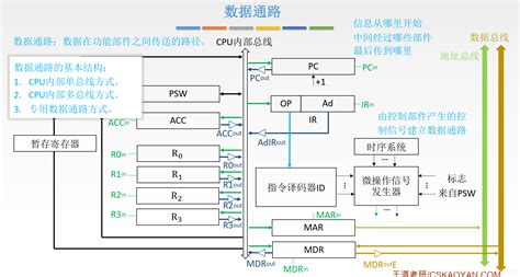 【计组】53 数据通路的功能和基本结构mdr能直达alu吗 Csdn博客