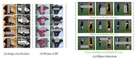 Random Erasing Data Augmentation Abdullah Mamun