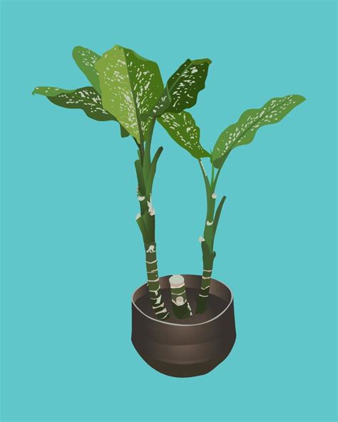 Flower Leaves Floral Ornaments Tree Frame Tree Leaves Leaf Plants Forest Frame Floral