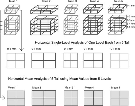Horizontal Single Layer Analysis And Mean Value Analysis Represented