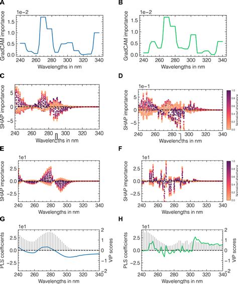 Frontiers Generative Data Augmentation And Automated Optimization Of Convolutional Neural