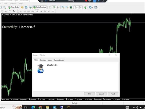 Decompile Eas Files And Unlock The Source Code Recompile Eas Forex Bot By Hamarsaiff Fiverr
