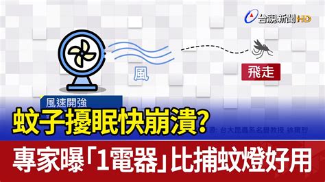 蚊子擾眠快崩潰 專家曝1電器比捕蚊燈好用 YouTube