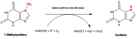 Eawag Bbd Reaction Reacid R1249