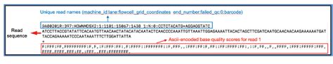 An Example Of Fastq File Format Download Scientific Diagram