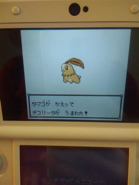 44 Best Bayleef Images On Pholder Shiny Pokemon Pokemonanime And Mand Jtv