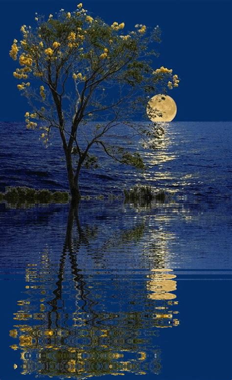 Por Fin A Vueltas Con La Lengua