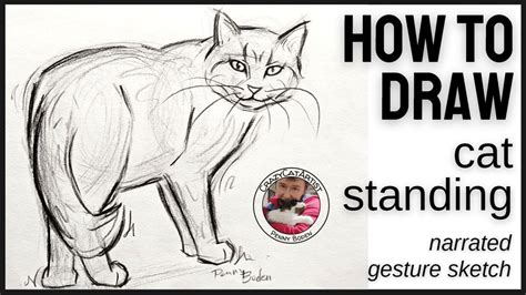 How To Draw Cat Standing Looking Back Side View Face Forward Simple Sketch Tutorial Beginner