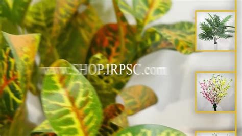 خرید بوته مصنوعی کروتن پخش از فروشگاه ملی مدل برگ ریز نماشا