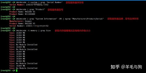 Centos系统查看服务器硬件配置之sn序列号，型号 知乎
