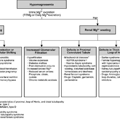 Genetic Strategy For Diagnosis Of Inherited Renal Hypomagnesemia The