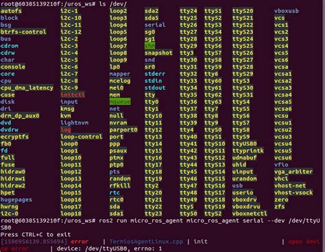 Ros2 Run Microrosagent Microrosagent Serial Dev Devttyusb0 Inside Docker · Issue 174