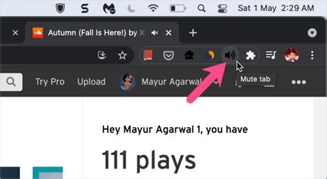 How To Mute A Single Tab Instead Of A Website In Chrome