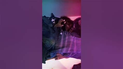 Mother Cats Love As She Nurses Her Kittens Inside My Closet 🐱 ️🐾 Youtube