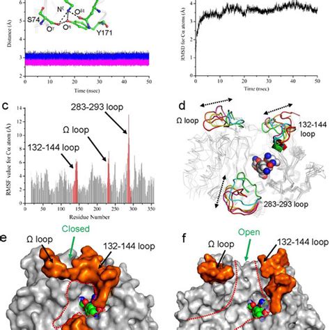 Crystal Structures Of Adp Apo Form A Overall Structure Of Adp Download Scientific Diagram