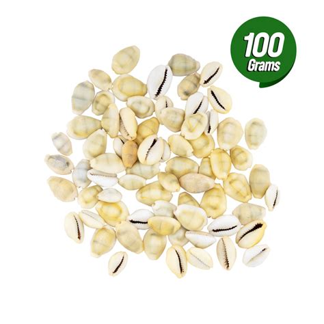 Giri Sozhi Cowrie Shells Kaudi — Giri Trading Agency Private Limited