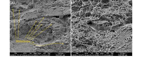 The Fracture Surface Morphology Of The Deformed Sample At Two Different