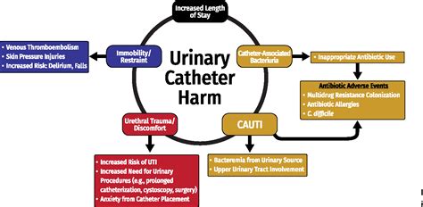 Strategies To Prevent Catheter Associated Urinary Tract Infections In