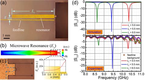 Half Lambda Microstrip Resonator A An Optical Micrograph Of The Download Scientific Diagram
