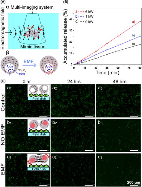 Electromagnetically Controlled Release Of Dox From The Emms Cocultured