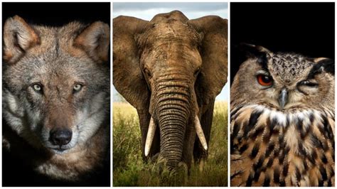 Edna на път Edna Bg