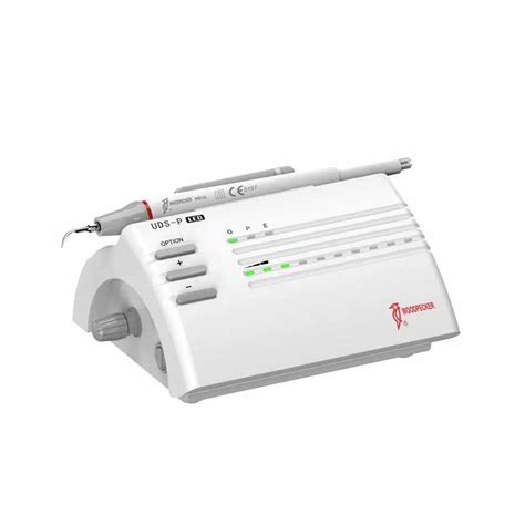 220v 치아 미백 청소 도구 기계 스케일러 치과 초음파 전기 딱따구리 Led 라이트 치과 초음파 스케일러 Aliexpress