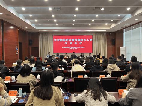 市级机关团工委召开团代表会议选举产生出席市第六次团代会代表 财经头条