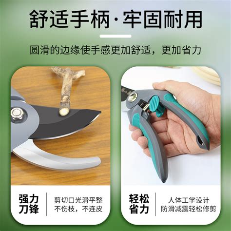 张小泉枝剪花木剪果树修枝剪园艺剪刀鲜花花艺剪刀修花粗枝剪包邮虎窝淘 张小泉枝剪花木剪果树修枝剪园艺剪刀鲜花花艺剪刀修花粗枝剪包邮虎窝淘