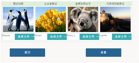 Bootstrap Modal图片为什么会叠加呢？怎么解决？？ Csdn问答