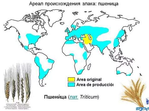 Сельское хозяйство мира презентация онлайн