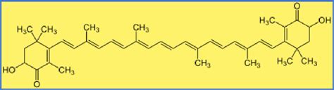 Astaxanthin Molecule Download Scientific Diagram