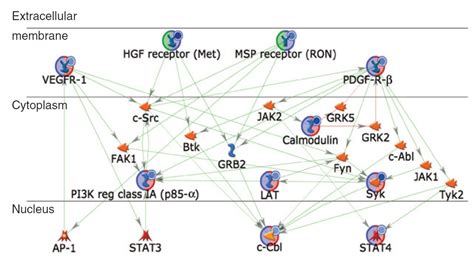 A New Dimension To Your Kinase Inhibitor Screening Pamgene