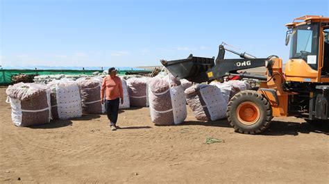 Хүнс хөдөө Хүнс хөдөө аж ахуй хөнгөн үйлдвэрийн яам