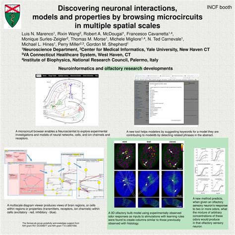 Discovering Neuronal Interactions Ppt Download
