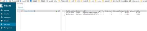 Elasticsearch最全详细使用教程：入门、索引管理、映射详解elasticsearch菜鸟教程 Csdn博客