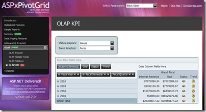 DevExpress ASP NET Themes Easy Step Customization For Your Projects